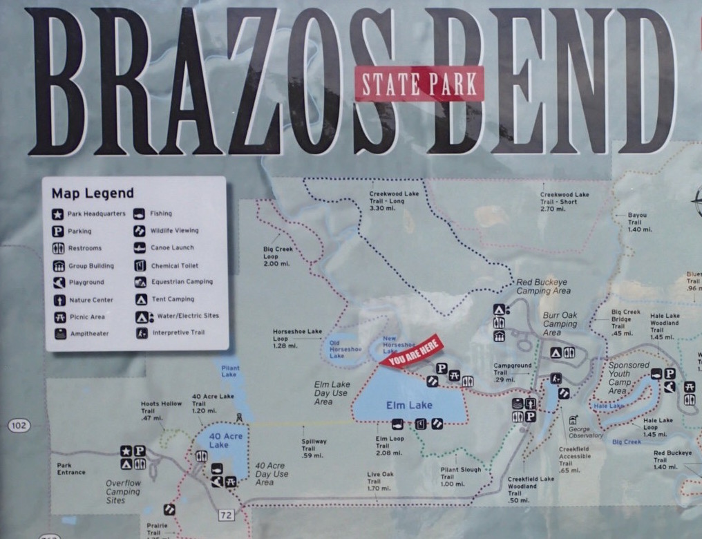 Brazos Bend State Park