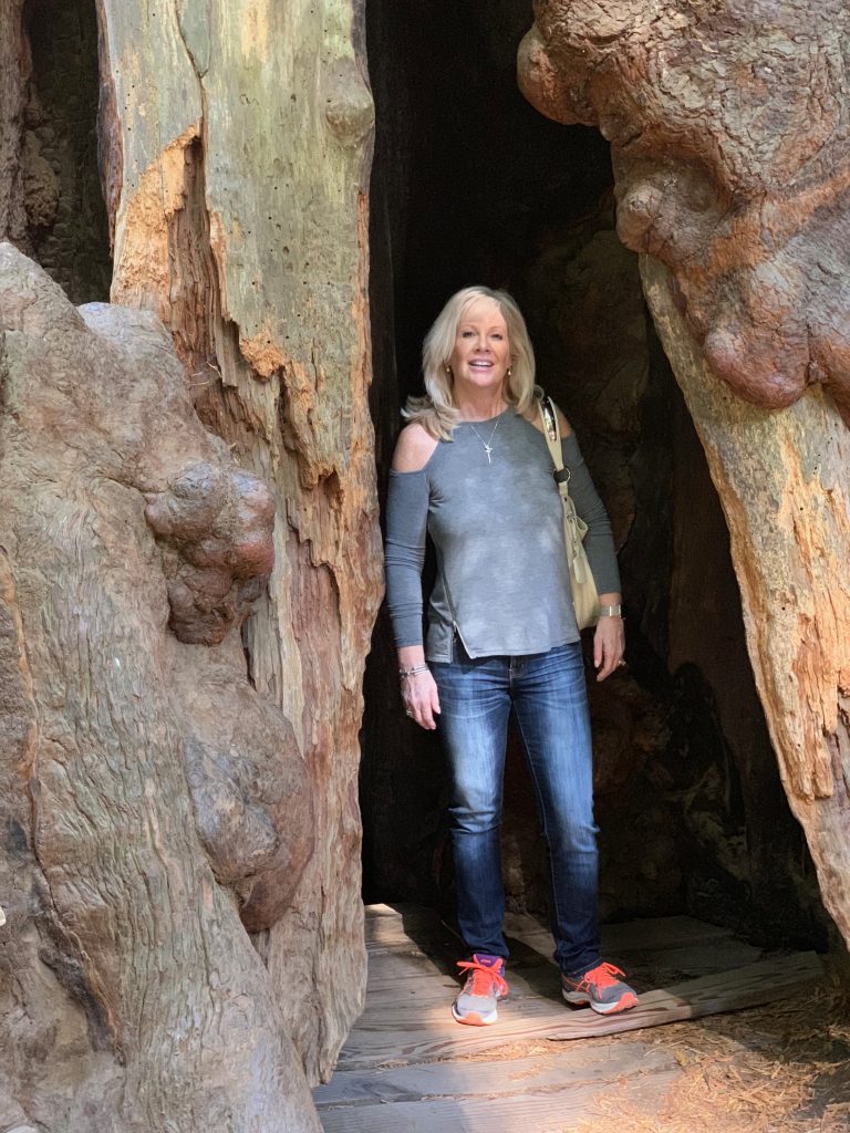 Muir Woods National Monument